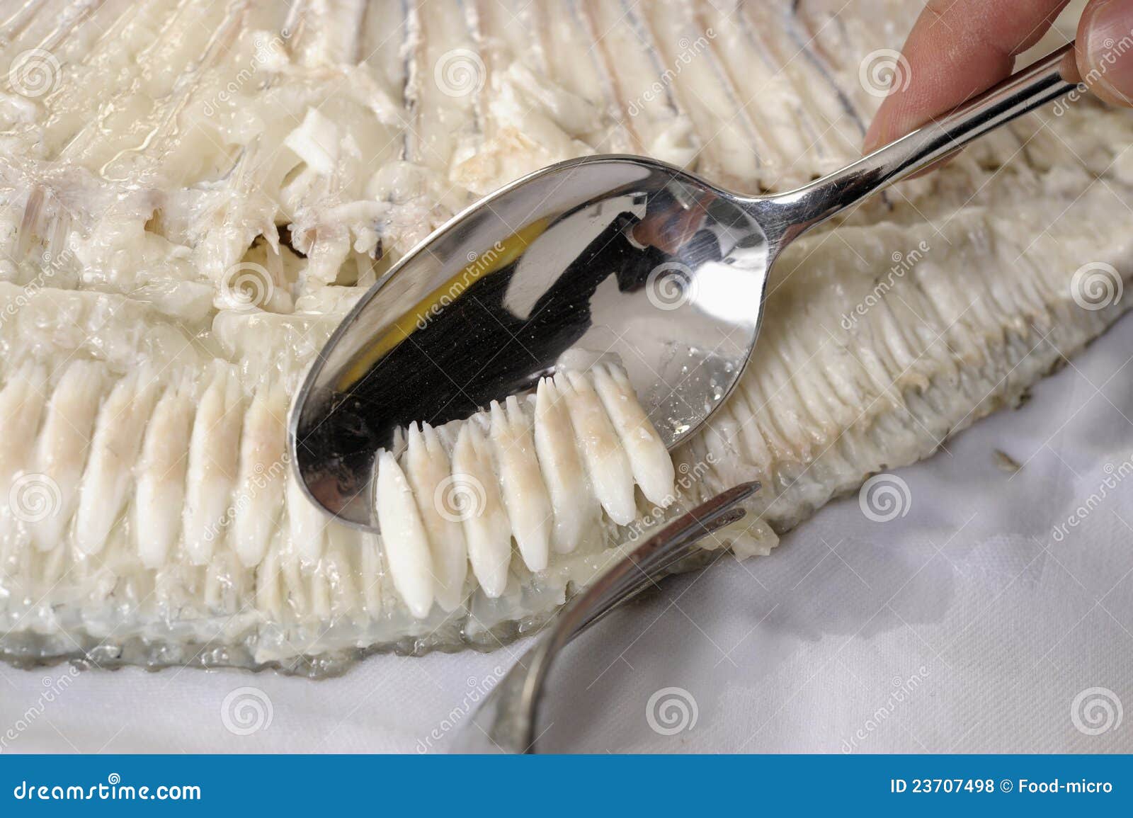 Filleting a poached turbot stock photo. Image of flesh - 23707498