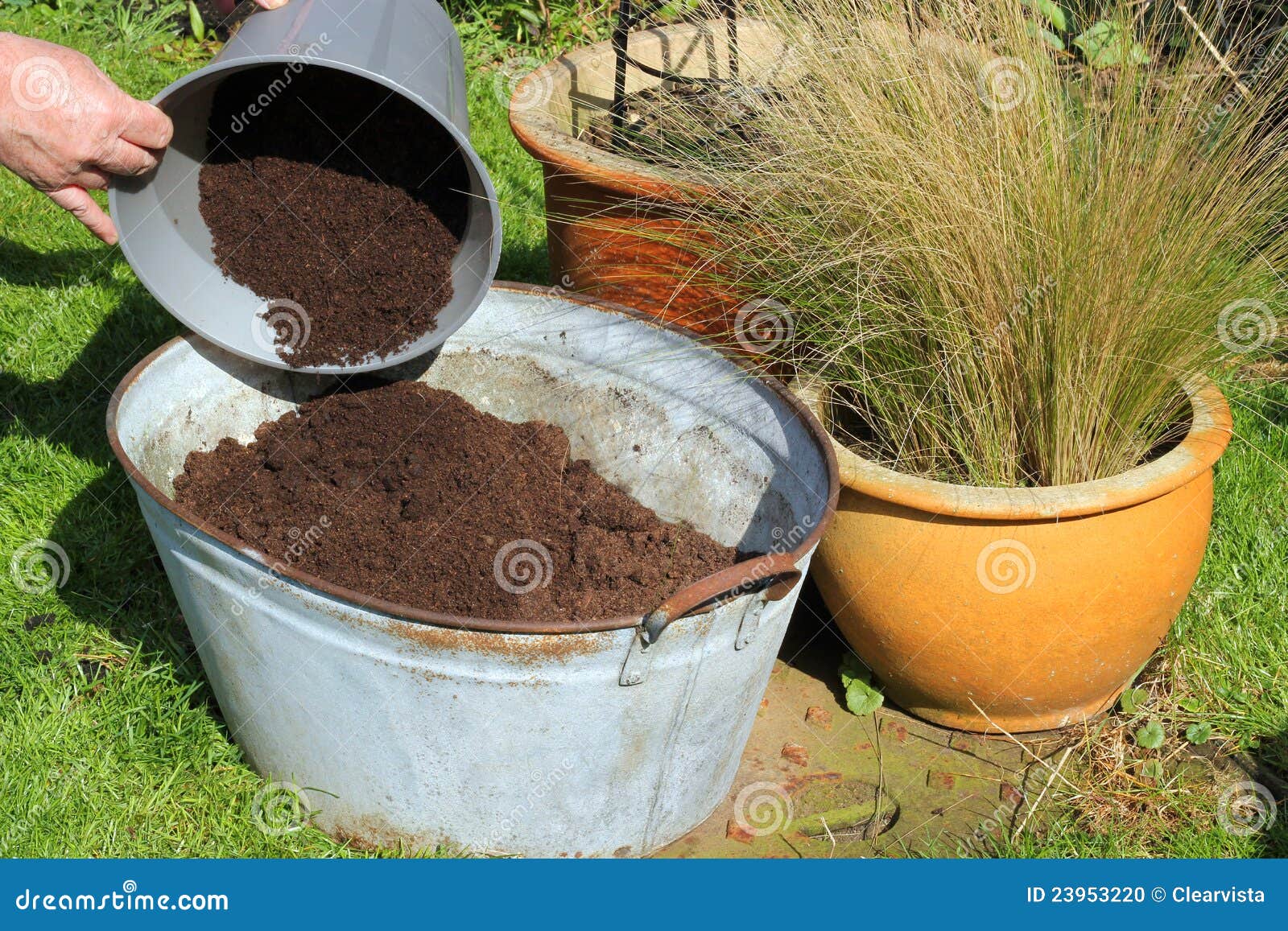 Filling a Container with Compost. Stock Photo - Image of grow, backyard ...