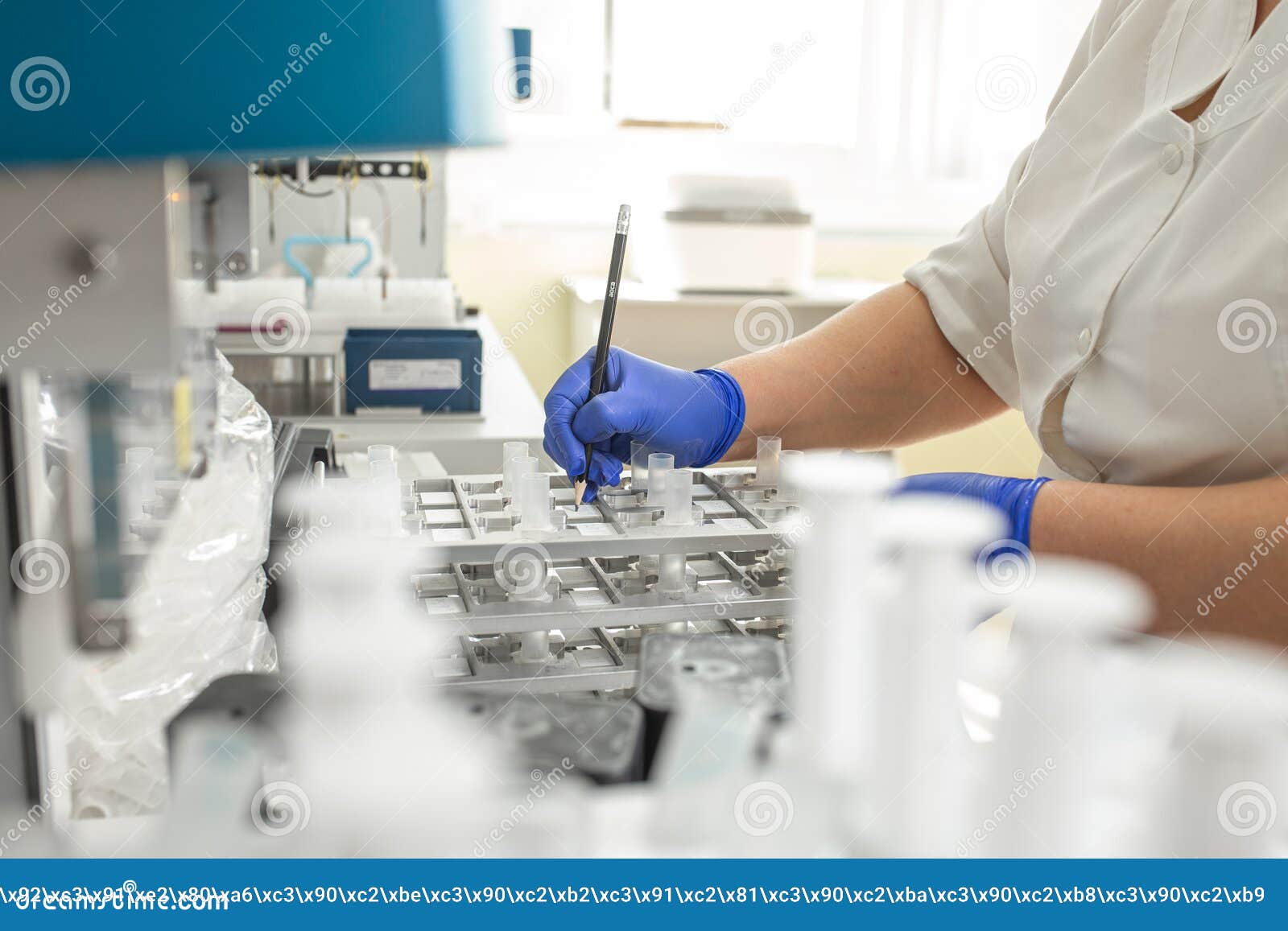 Filling Out Documents in the Lab Close-up Stock Image - Image of ...