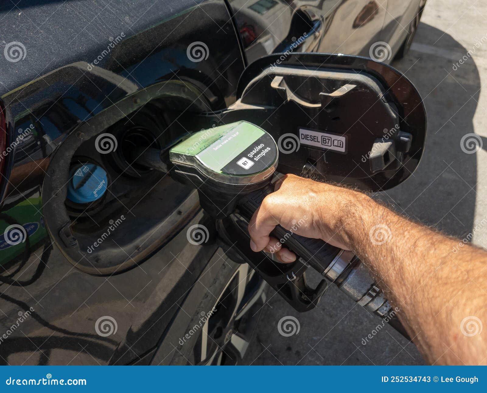 Gaselo Stock Photos - Free & Royalty-Free Stock Photos from Dreamstime