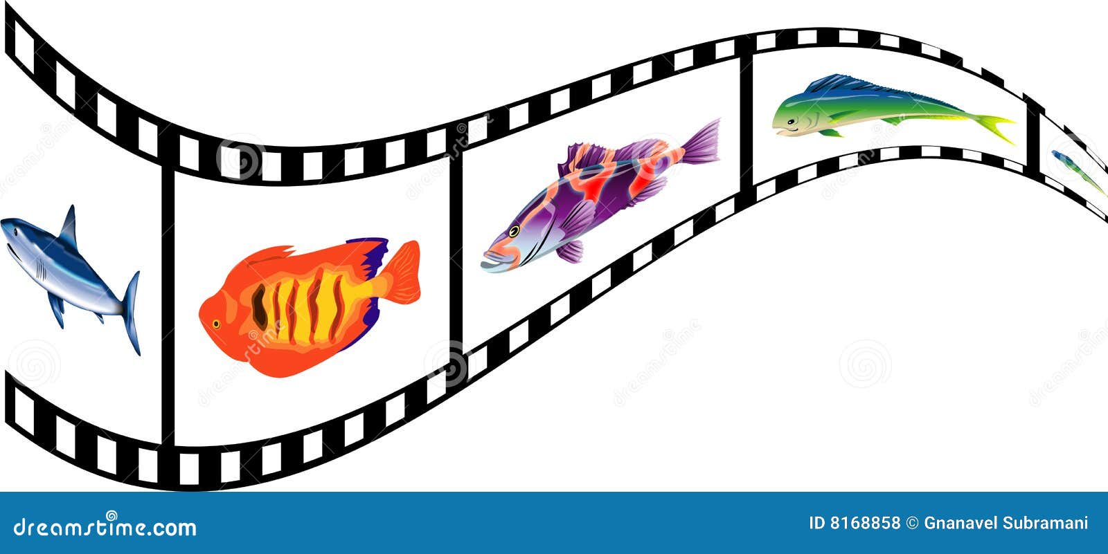 Film - Fish stock vector. Illustration of white, screen - 8168858