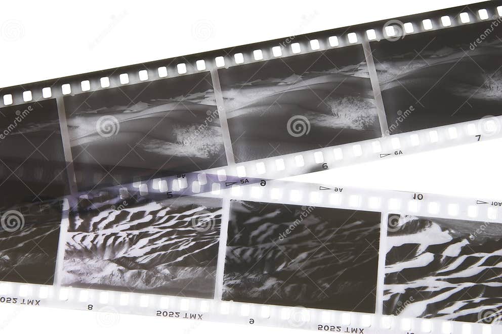 Film strips stock photo. Image of film, developed, print - 438468