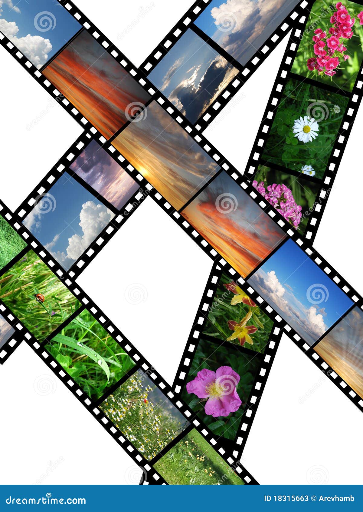 Films with various images stock illustration. Illustration of grass ...