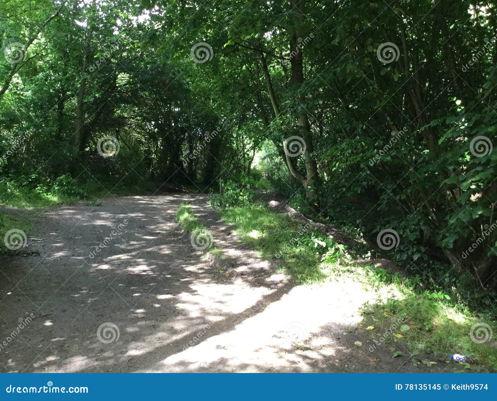 Filtered sunlight stock image. Image of filtered, sunlight - 78135145