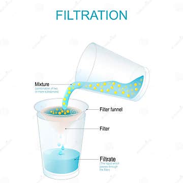Filtration. Physical Experiment Stock Vector - Illustration of diagram ...