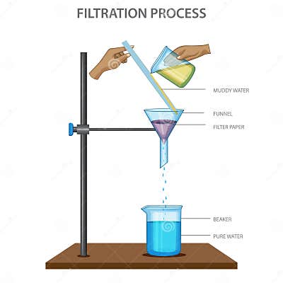 Filtration Process Science Experiment Vector Illustration Stock Vector ...