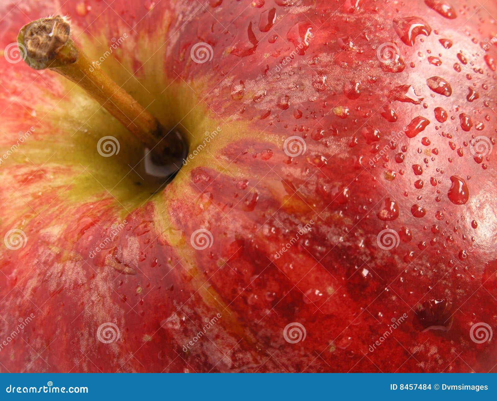 Fin Rouge De Pomme Vers Le Haut Photo stock - Image du penchement ...