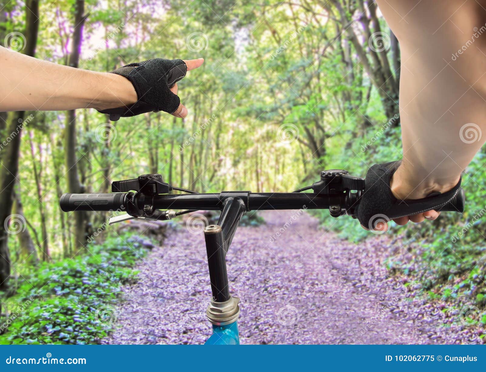 The Final Destination in the Forest Stock Image - Image of forest ...