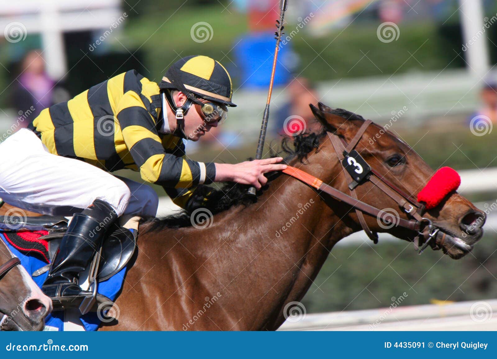 Final Furlong editorial photo. Image of closeup, race - 4435091