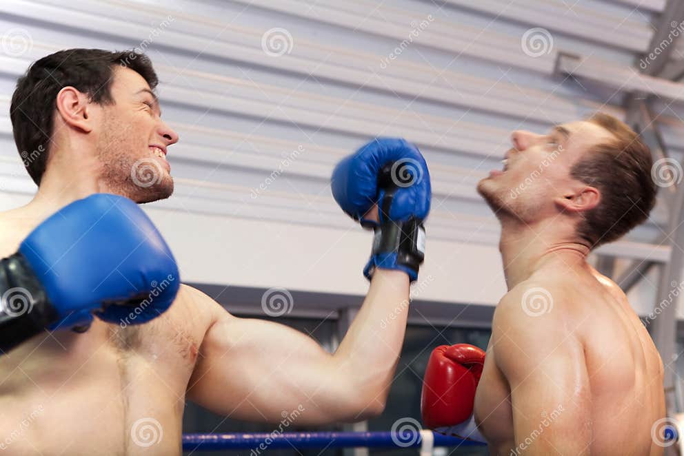 Final punch. stock photo. Image of boxing, looking, muscular - 33128914
