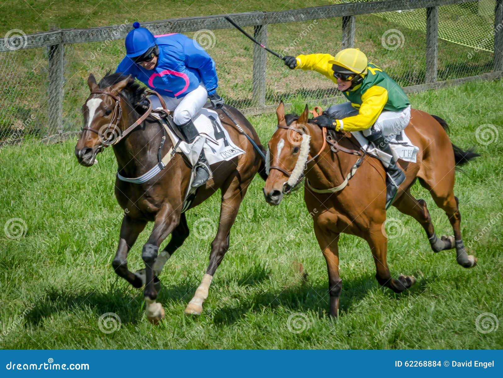 The Final Stretch editorial stock image. Image of horse - 62268884