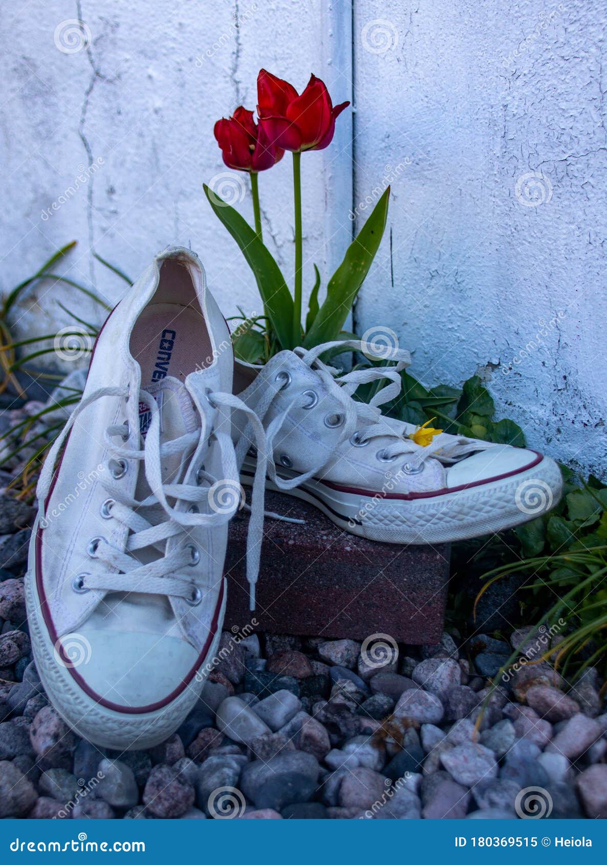 Finally its spring stock image. Image of work, sneakers - 180369515