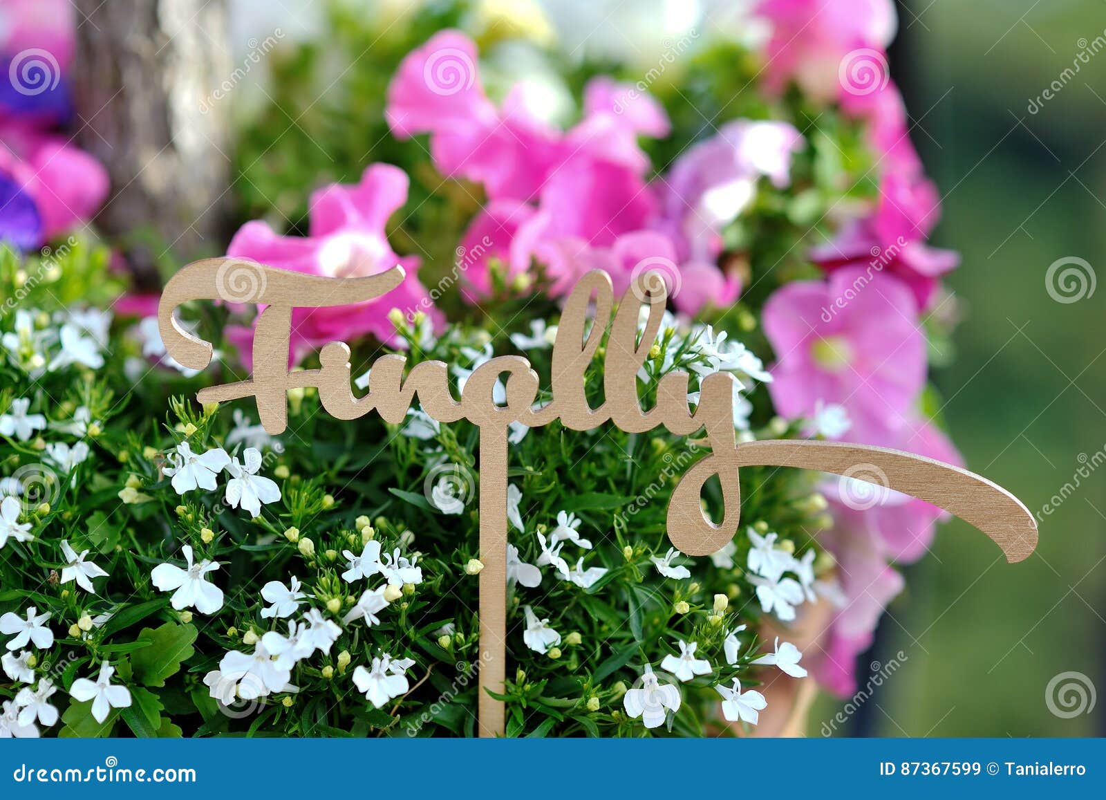 Finally Word Decoration, on Background Colored Flowers Stock Image ...