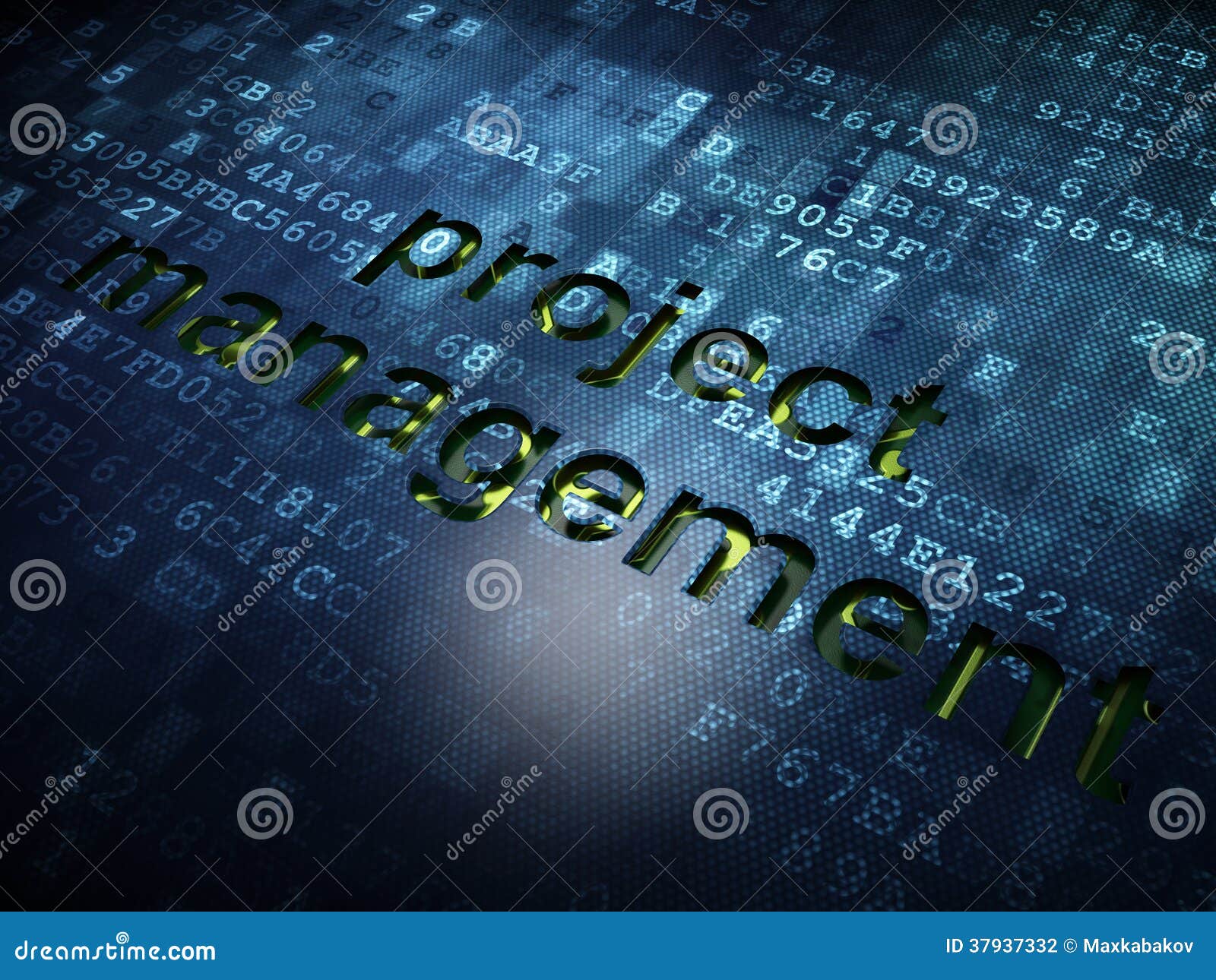 Finance Concept: Project Management on Digital Stock Photo - Image of ...