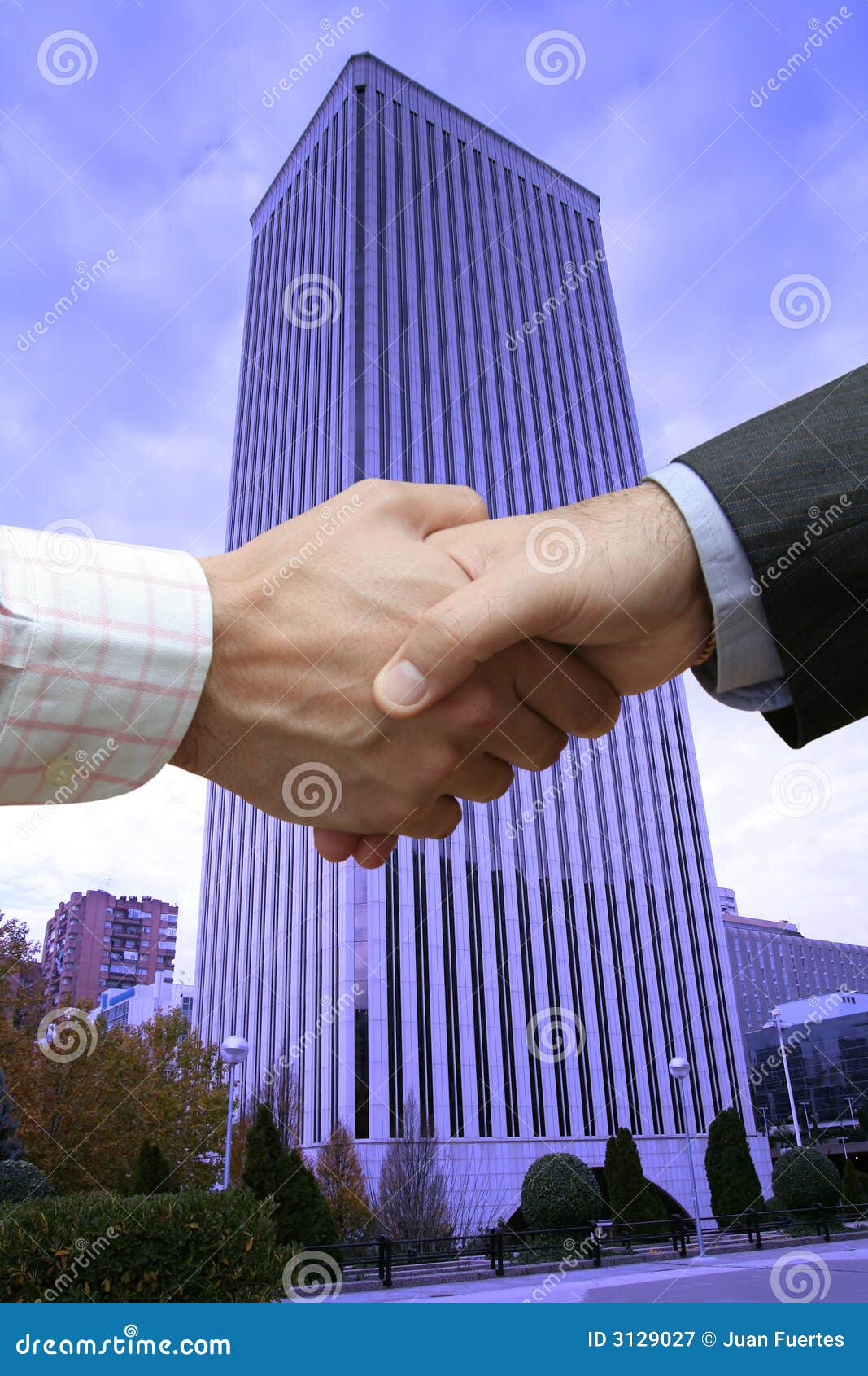 Finance handshake stock image. Image of agree, hand, people - 3129027
