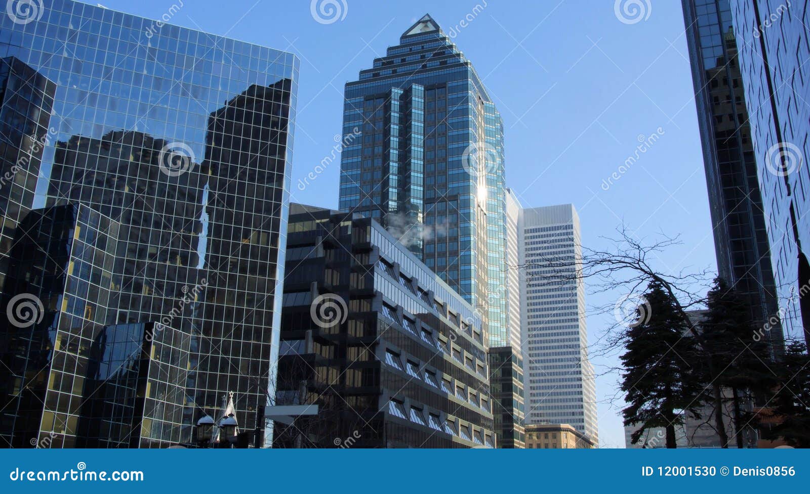 Finance Place in Montreal stock photo. Image of trees - 12001530