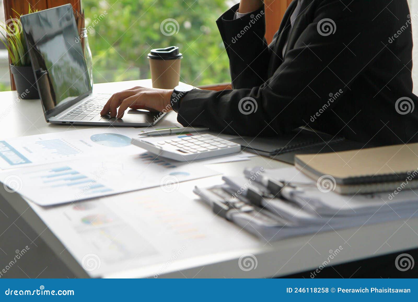 Financial Advisor Using Computers Laptop, Data Acquisition and ...