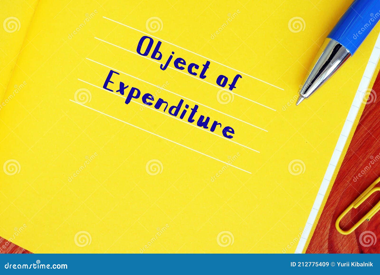 Financial Concept Meaning Object of Expenditure with Phrase on the ...