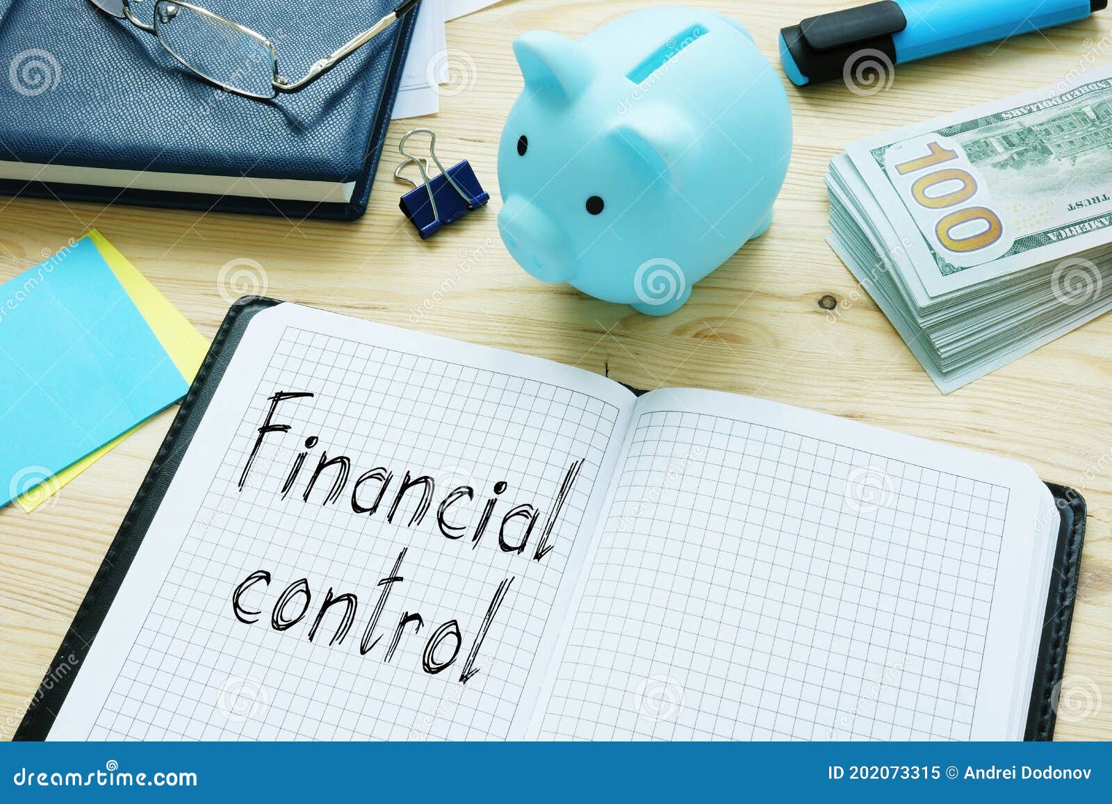 Financial Control is Shown on the Business Photo Using the Text Stock ...