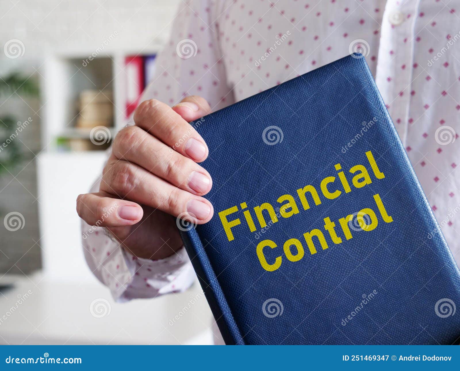 Financial Controler and Controlling is Shown Using the Text Stock Image ...