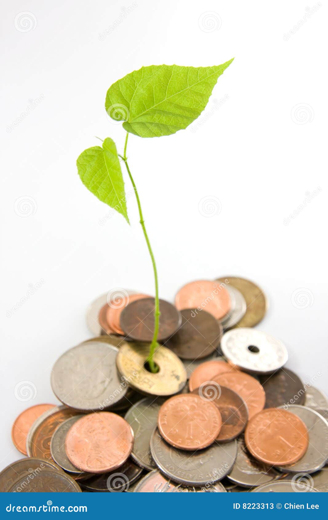 Financial Growth stock image. Image of income, revenue - 8223313