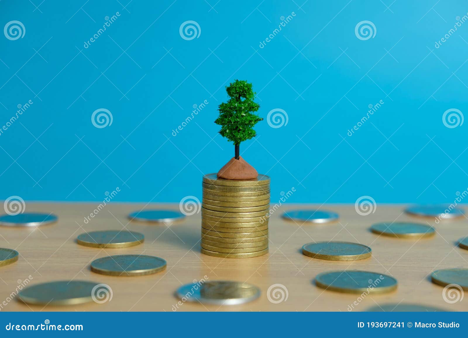 Financial Investment, Growing Money Tree on Coin Stack Stock Image ...