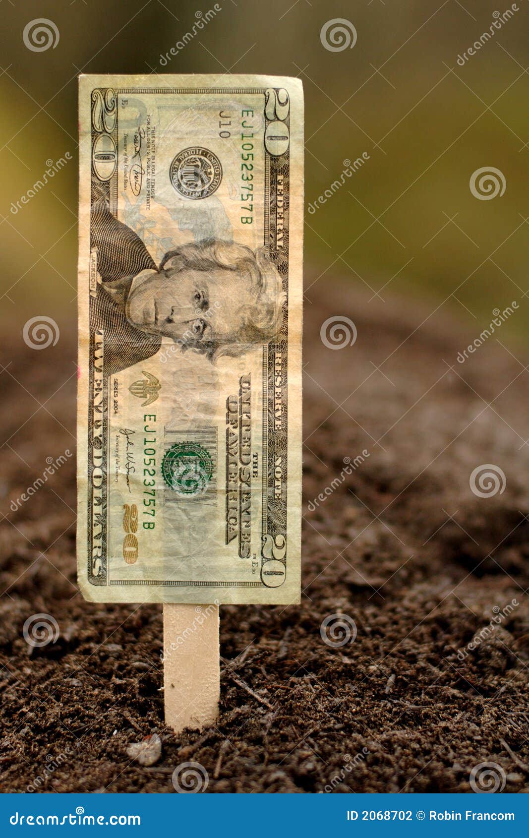 Financial Planting stock photo. Image of capital, bill - 2068702
