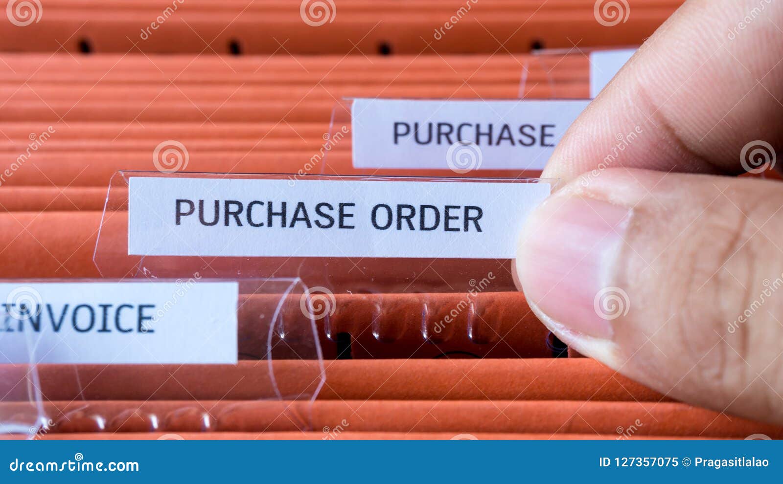 Financial Purchase Order Document Contract Keep in the Folder Stock ...