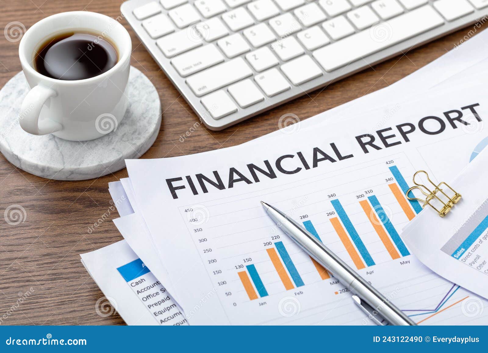 Financial Report and Accounting Data Documents, Financial Statement ...