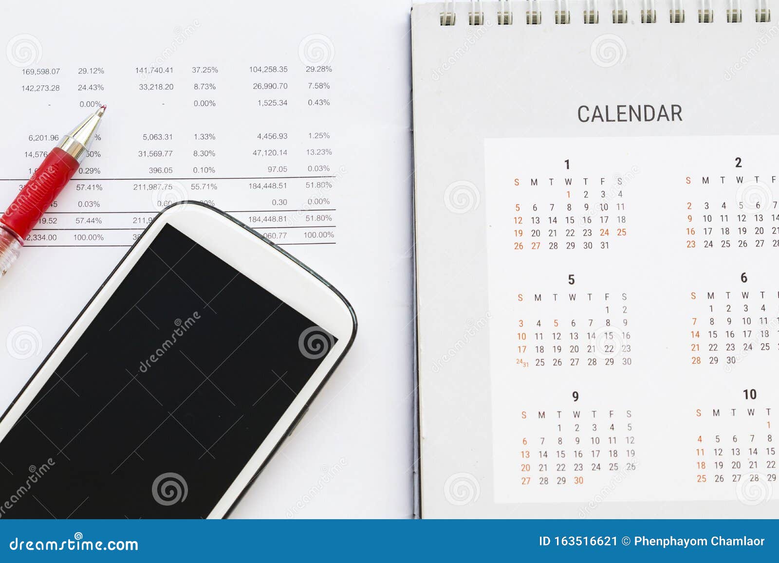 Financial Statement for Check with Mobile Phone for Business Work of ...