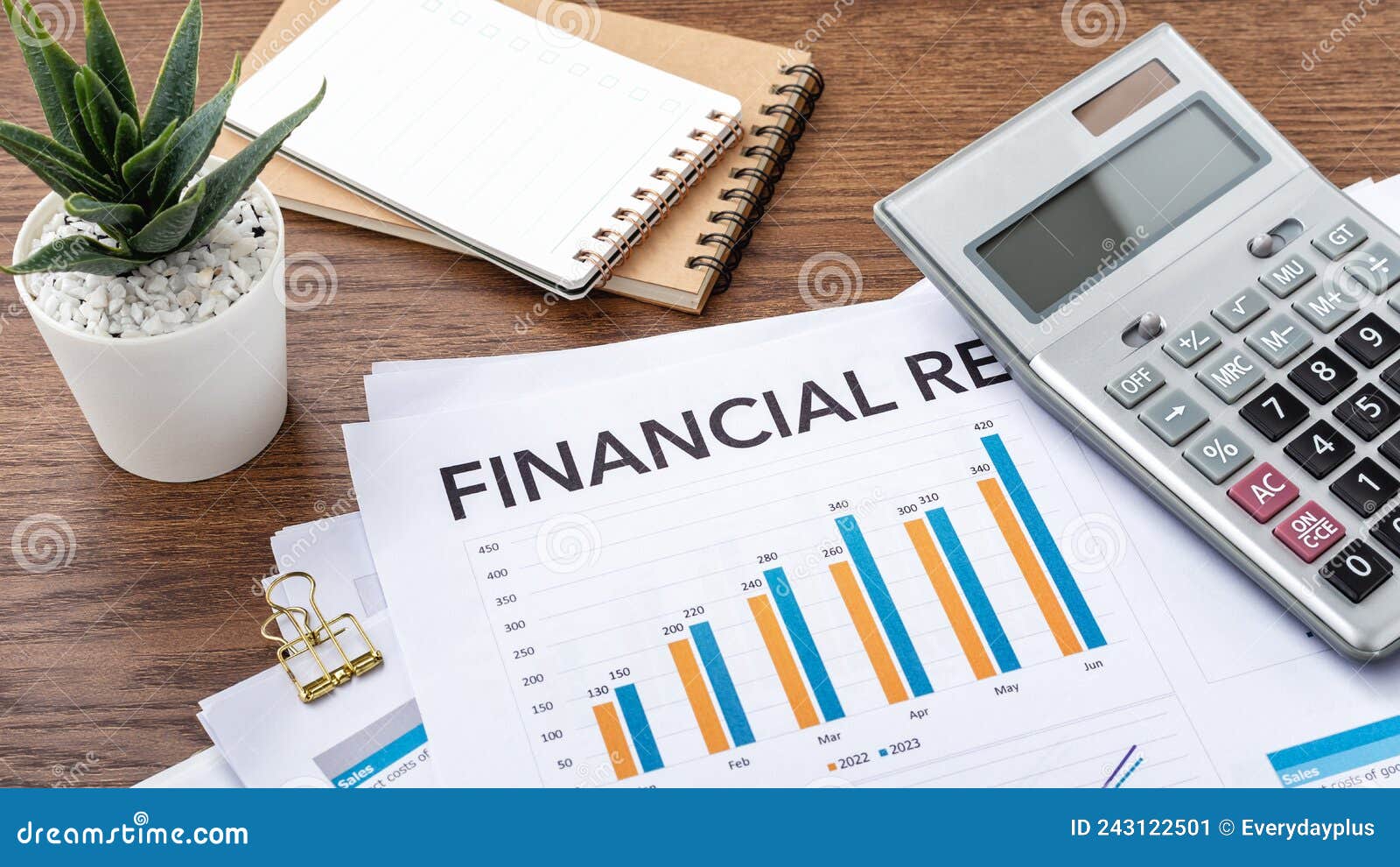Financial Statement Review, Financial Chart Data Document with ...