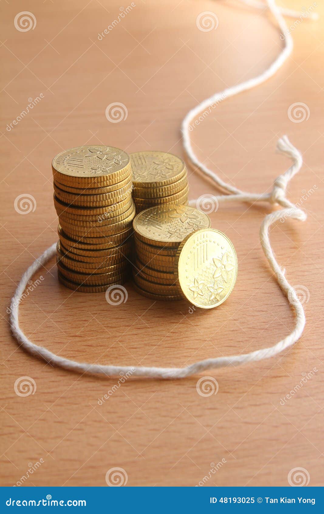 Financial Trap - Coins within a Trap Stock Image - Image of snare, lure ...