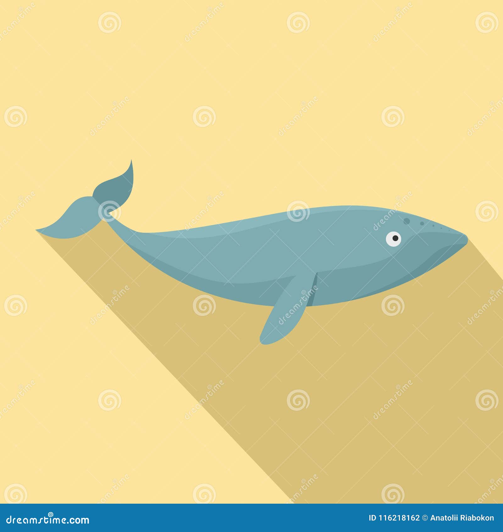 Finback Whale Icon Isolated On White Background Cartoon Realistic Whale ...