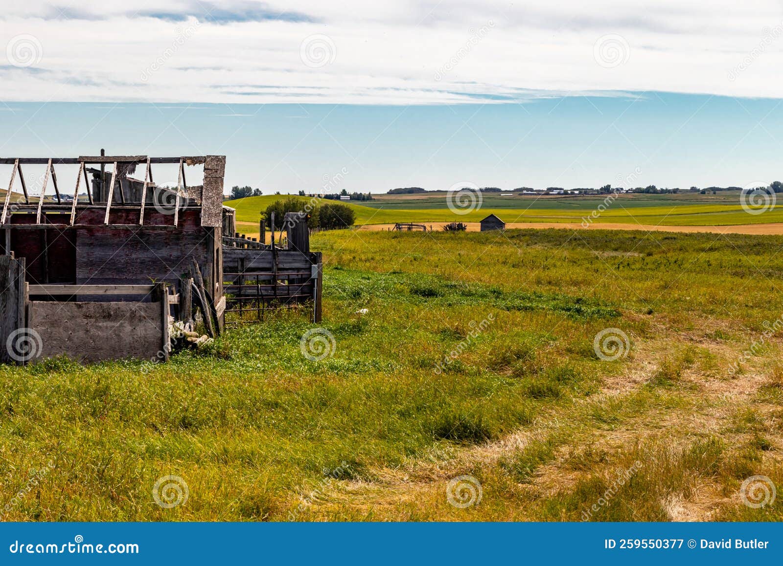 Finca Rural De Campo. Condado De Rockyview Alberta Canada Imagen de ...