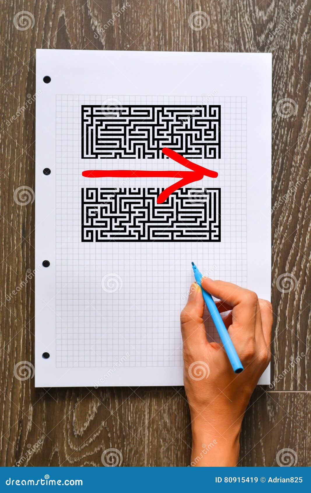 Maze Shortcut Royalty-Free Stock Image | CartoonDealer.com #28793656