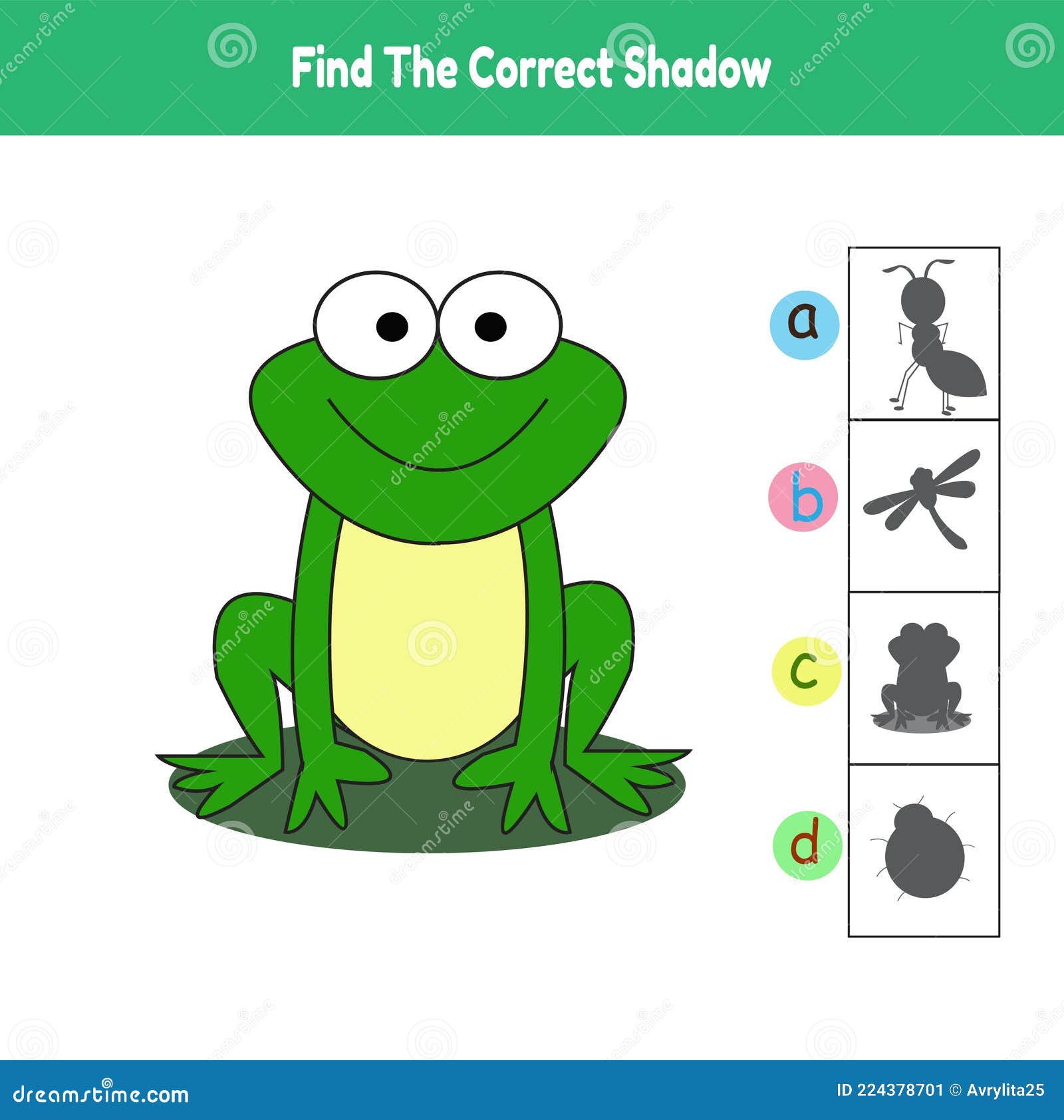 Find the Correct Shadow Game Frog Cartoon Illustration Vector Stock ...