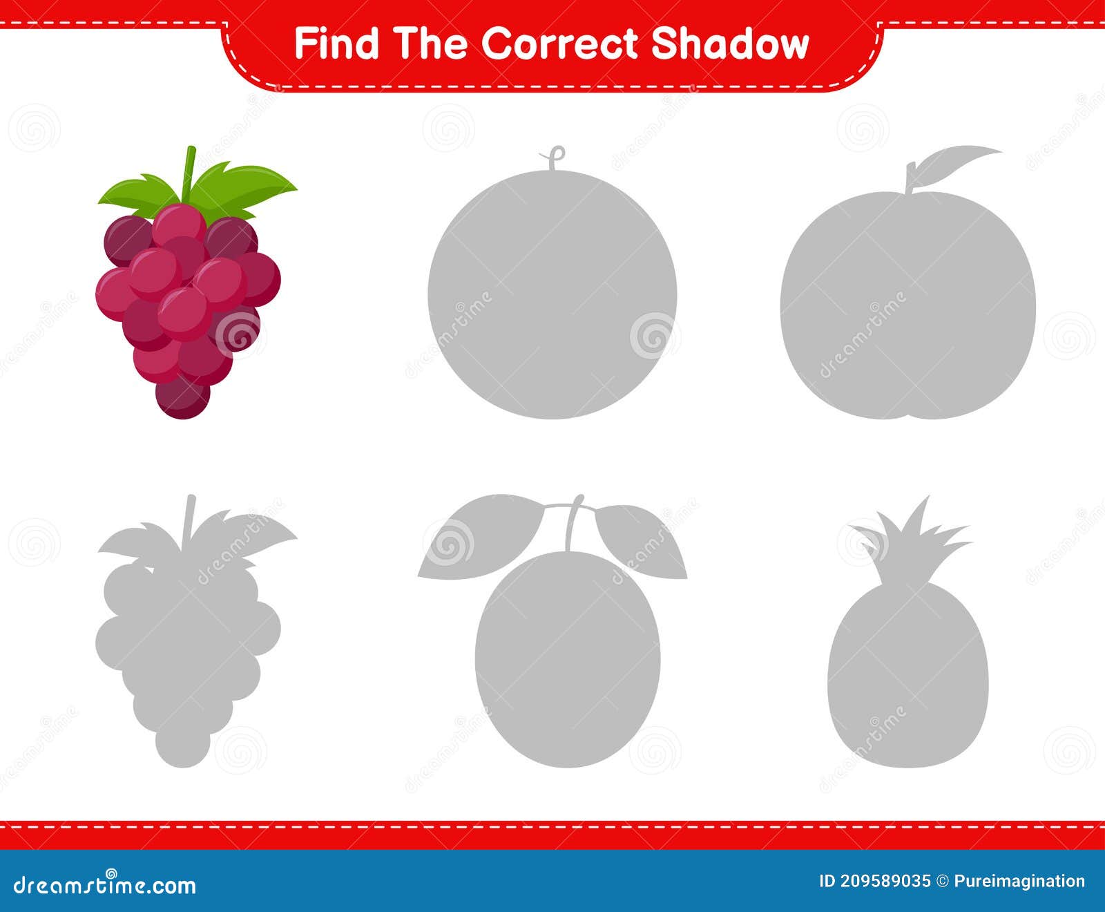 Find the Correct Shadow. Find and Match the Correct Shadow of Grape ...