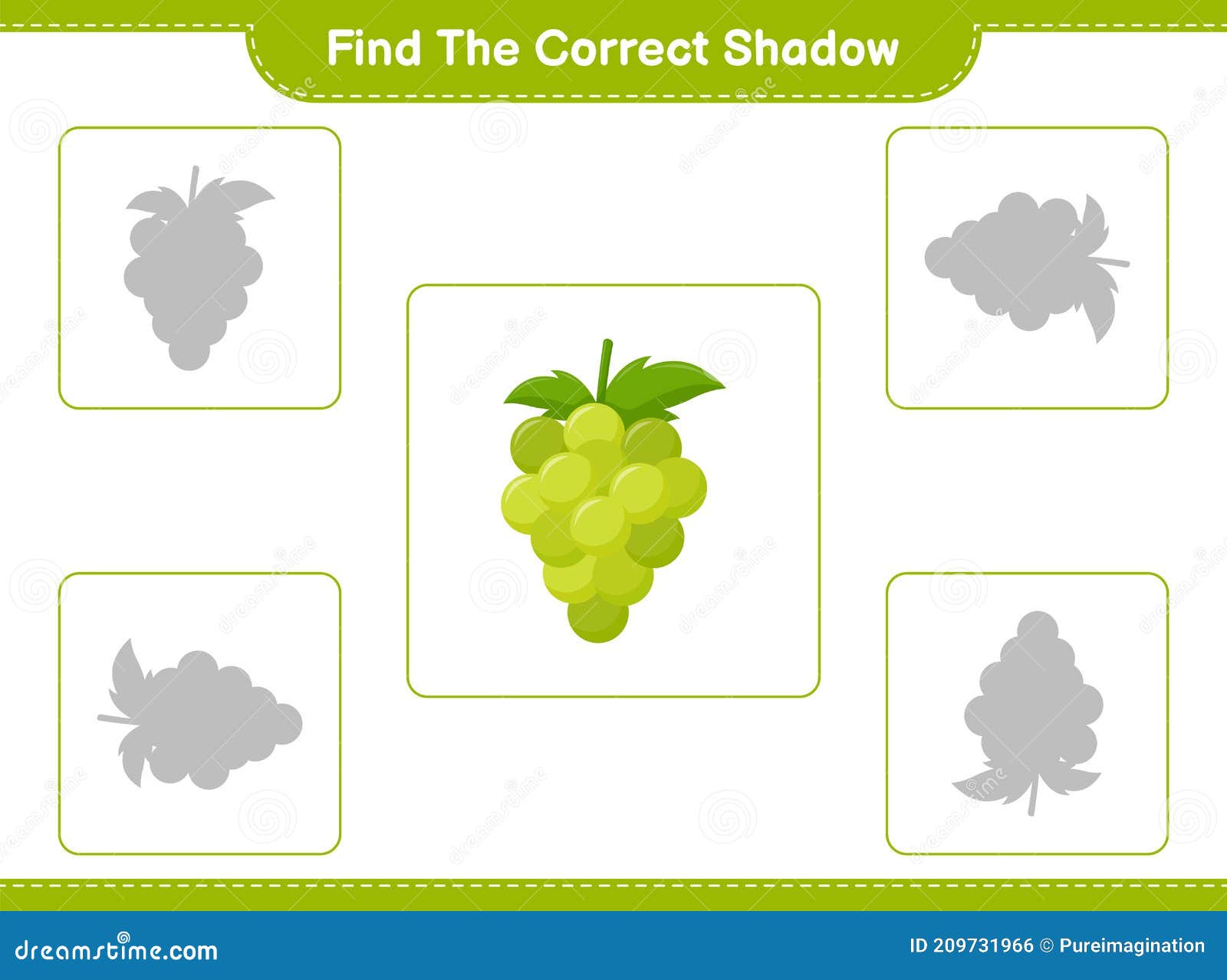 Find the Correct Shadow. Find and Match the Correct Shadow of Grape ...