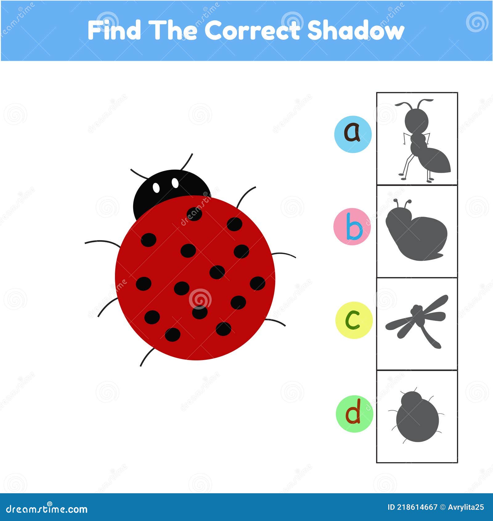 Find the Correct Shadow Matching Game Animal Ladybug Cartoon ...