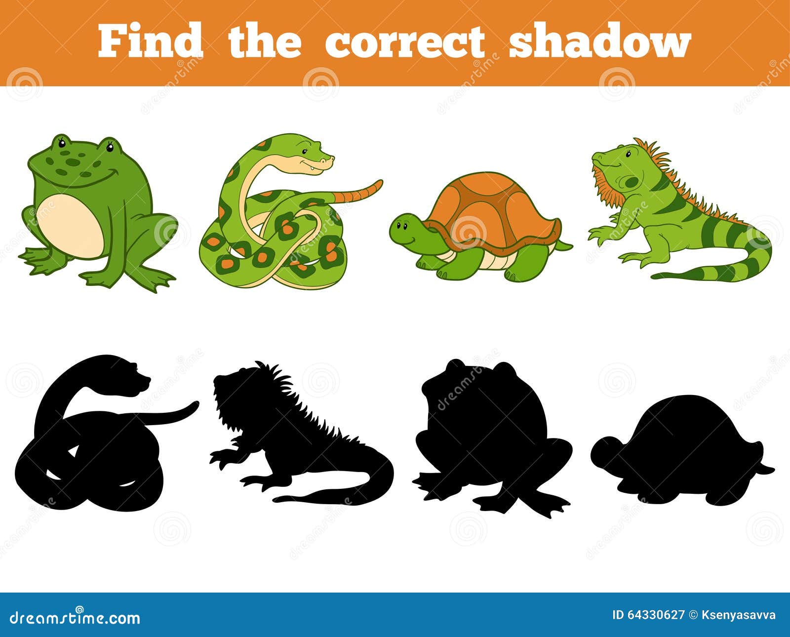 Find The Correct Shadow (snake, Turtle, Iguana, Frog) Cartoon Vector ...