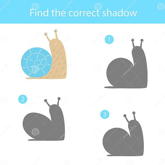 Find the Correct Snail Shadow. Stock Vector - Illustration of correct ...