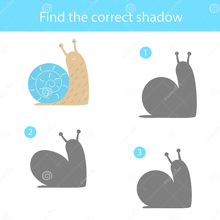 Find the Correct Snail Shadow. Stock Vector - Illustration of correct ...