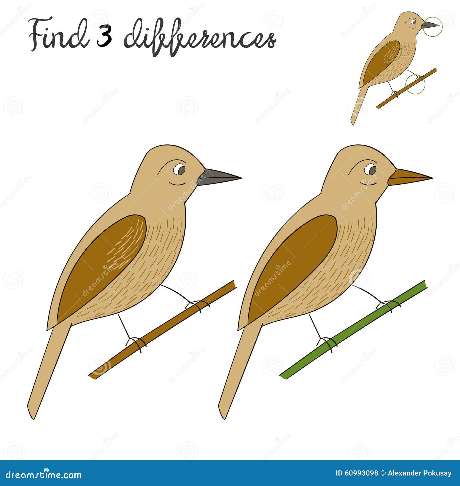 Find Differences Kids Layout for Game Bird Stock Vector - Illustration ...