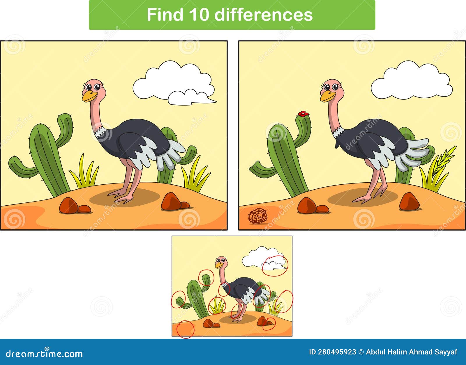 Funny Ostrich Cartoon. Find 10 Differences Stock Vector - Illustration ...