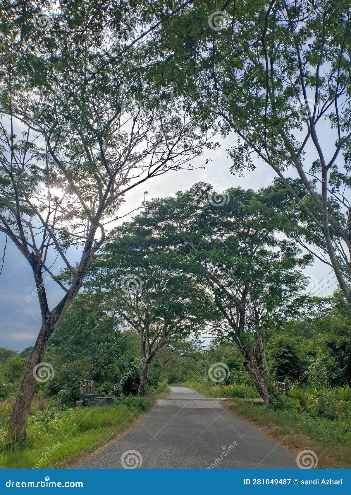 Find a Green Place To Cool Off Stock Image - Image of calm, place ...