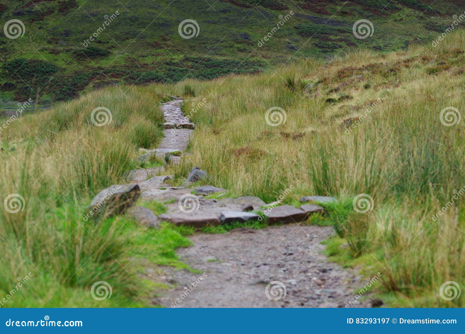 Find my path stock image. Image of grass, trip, scotland - 83293197