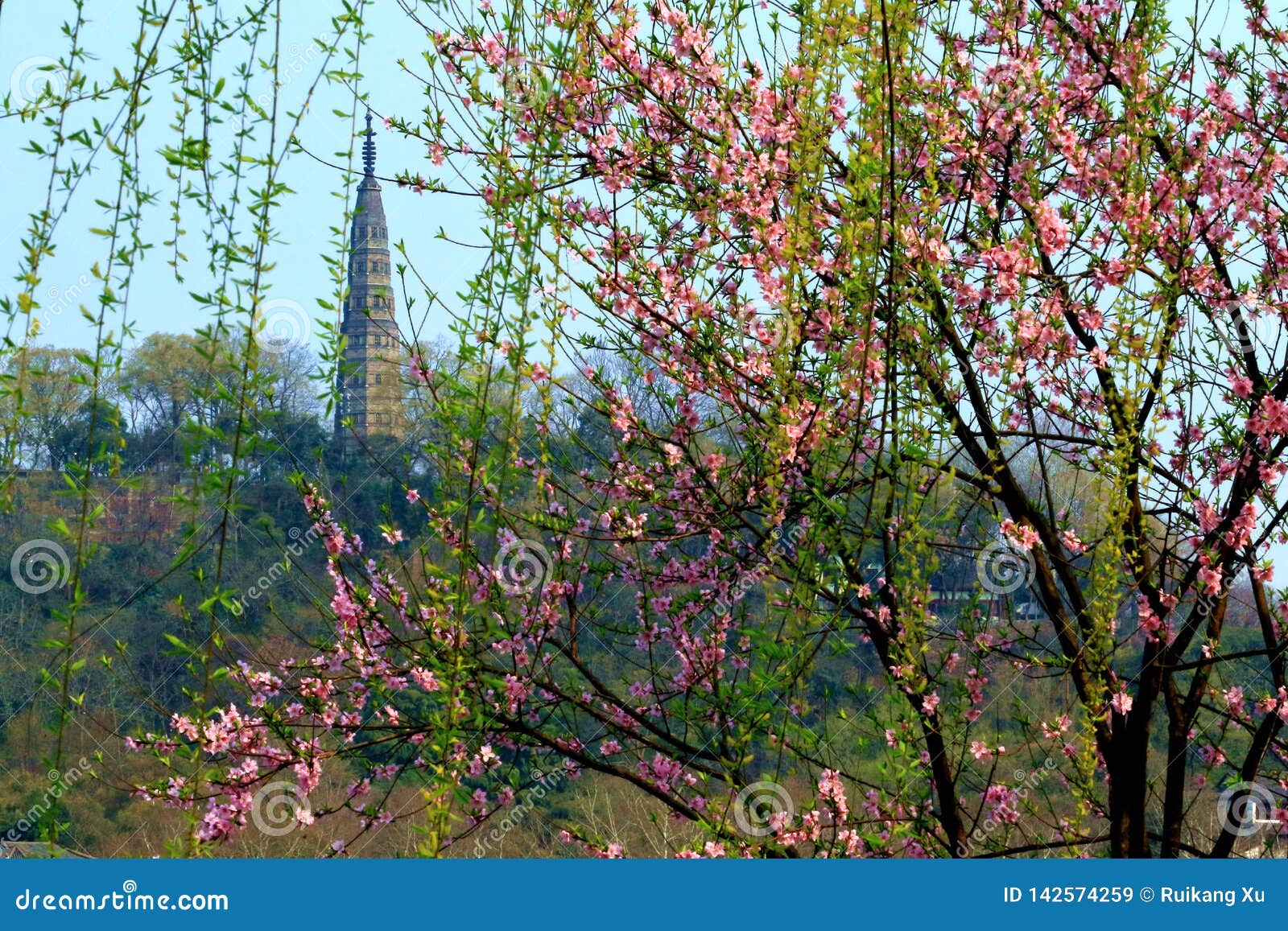 Find the Scenery Pleasing To Both the Joy Spring Outing in Nature Stock ...