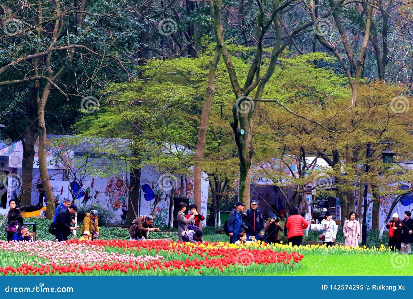 Find the Scenery Pleasing To Both the Joy Spring Outing in Nature ...