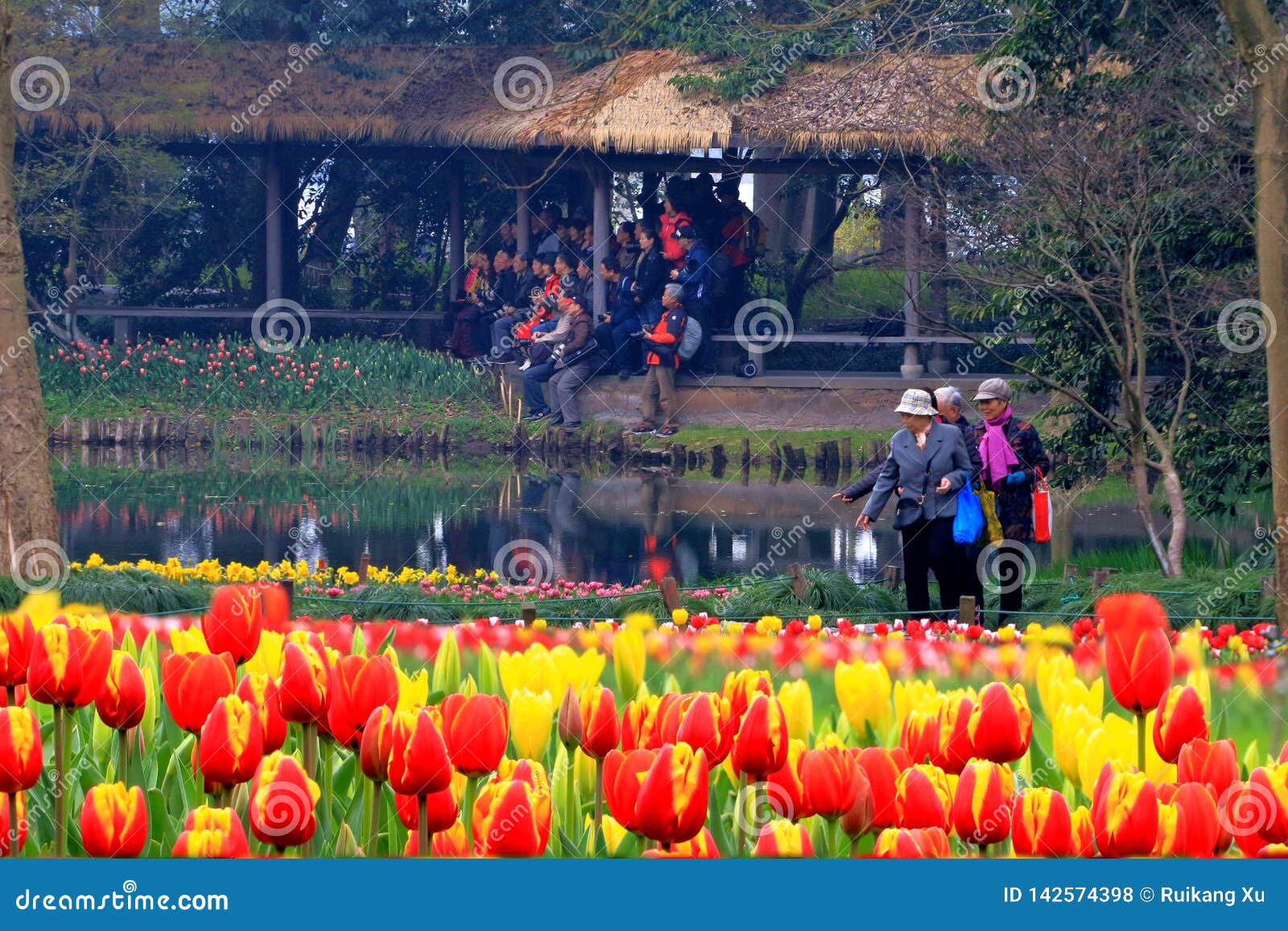 Find the Scenery Pleasing To Both the Joy Spring Outing in Nature ...