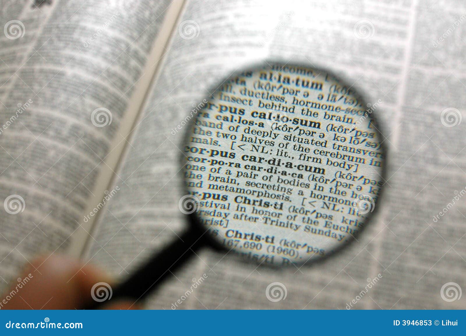 Find something stock image. Image of engine, internet - 3946853